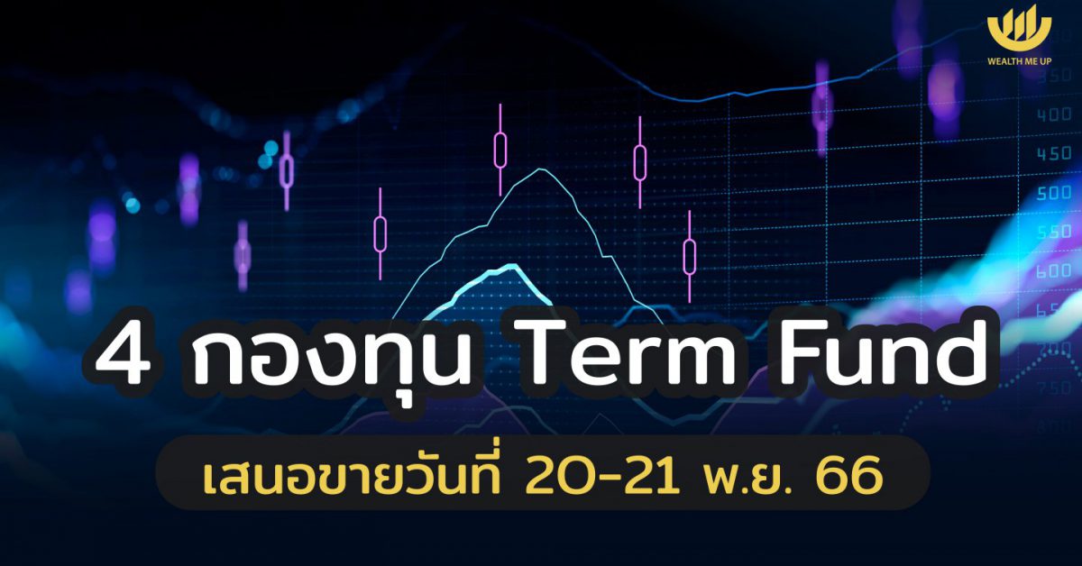 ข้อควรรู้ก่อนลงทุนกองทุน Term Fund - Wealth Me Up